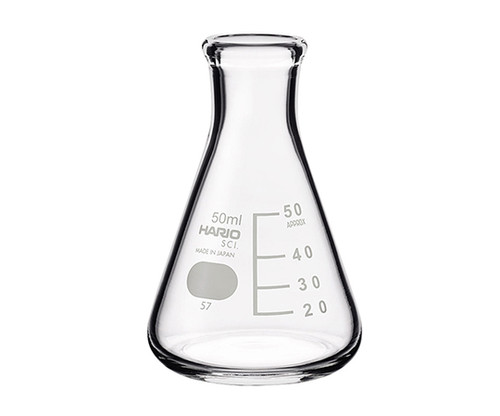 Erlenmeyer Flask (With Standard Scale) | Labware E-shop