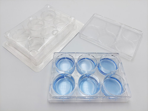 6 Well Plate With Cover, Sterilized, Flat Bottom, TC Treated, Certified ...