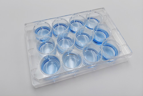 12 Well Plate With Cover, Sterilized, Flat Bottom, TC Treated, 50 Pcs ...