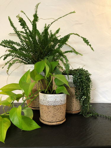 Tall Planter - Lisa Peri | dowiedesigns