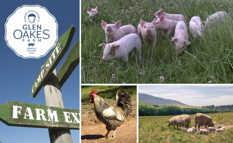 Activities | Glen Oakes Farm