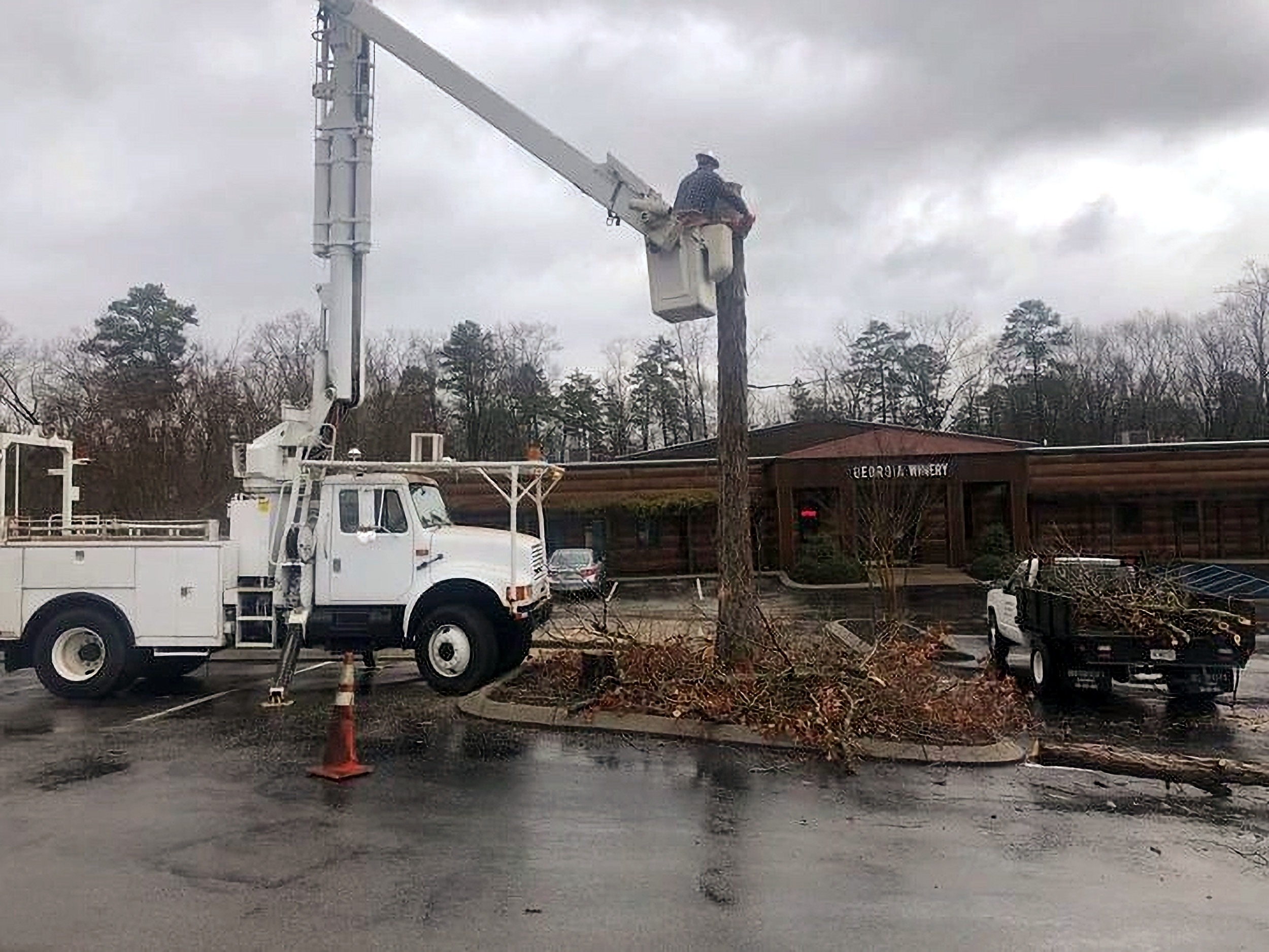About | Lowery Tree Service | Chattanooga, TN