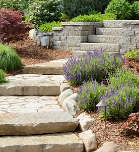 SERVICES | Greenpatch