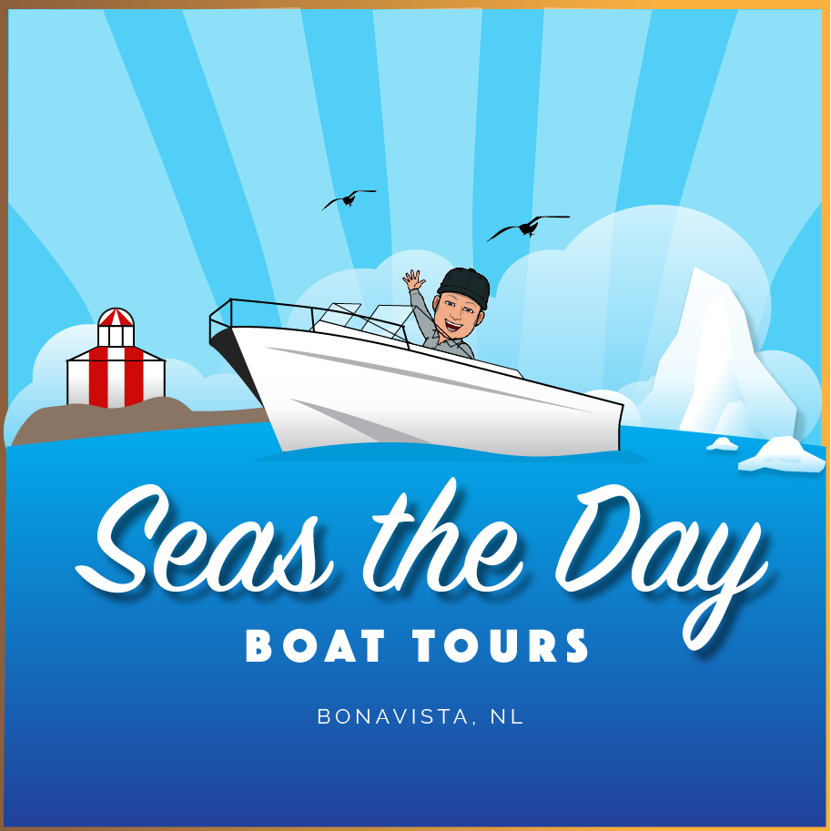 Seas the Day Boat Tours: Iceberg & Whale Adventures
