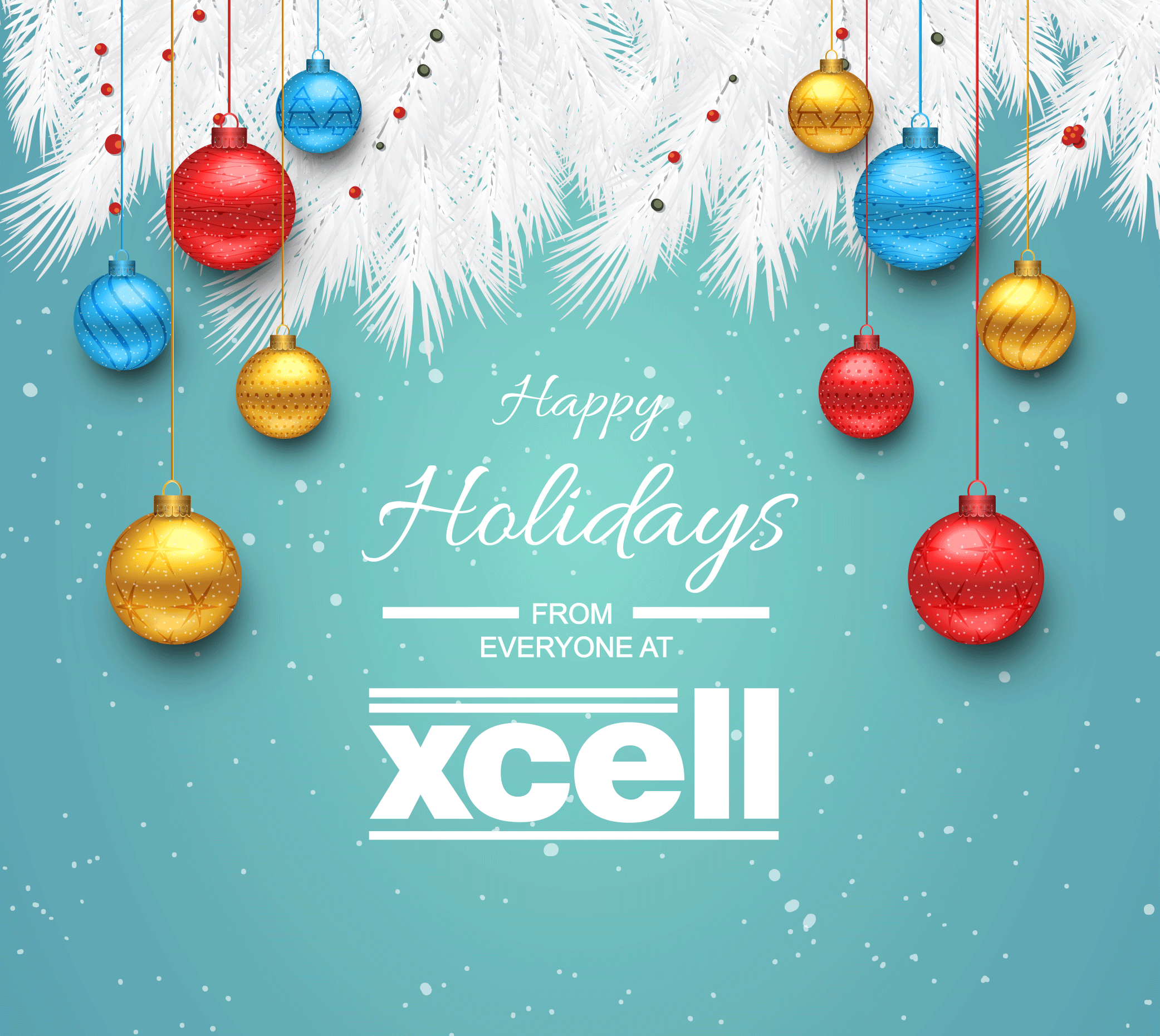 ABOUT US | Xcell International Corporation | United States