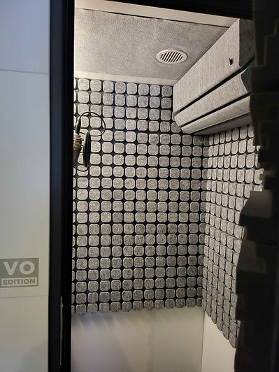 VOICE OVER | Vikram Rajan