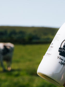 Meggy Moo's Dairy Farm - producing fresh milk in Dorset, England