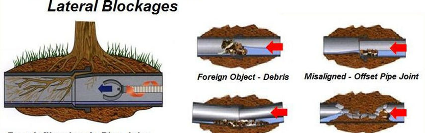 Root Cutting | jmsdrainsolutions