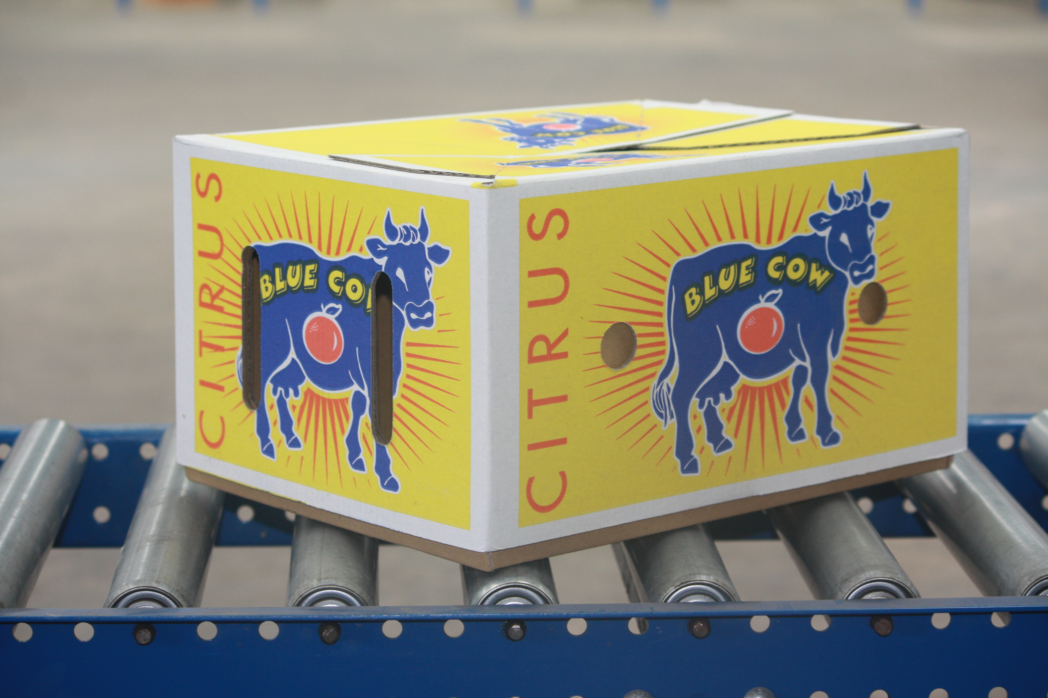 Blue Cow Citrus I CONTACT US