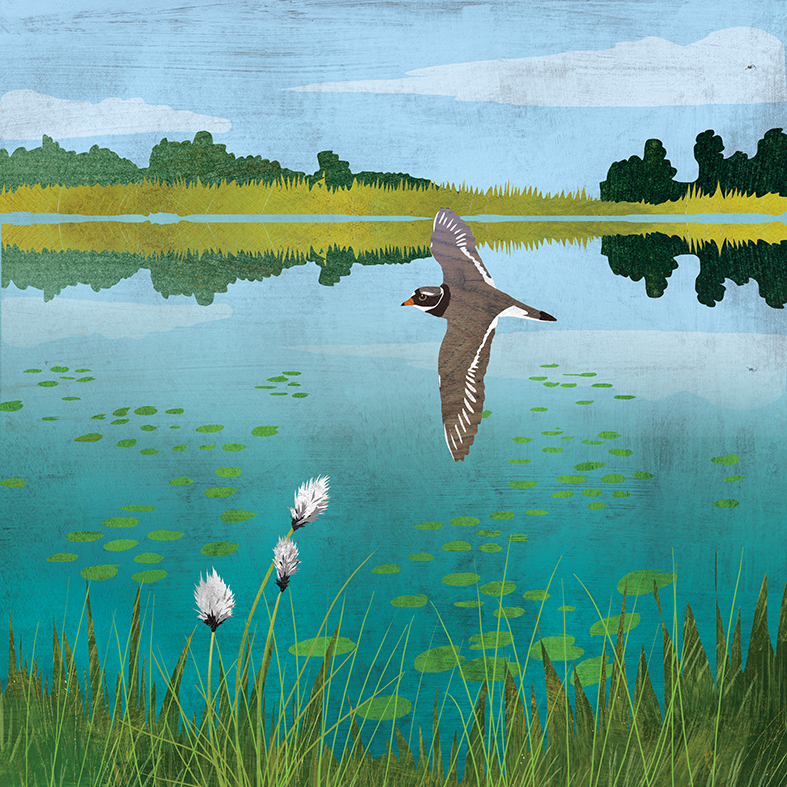 Madeleine Smith|Illustration