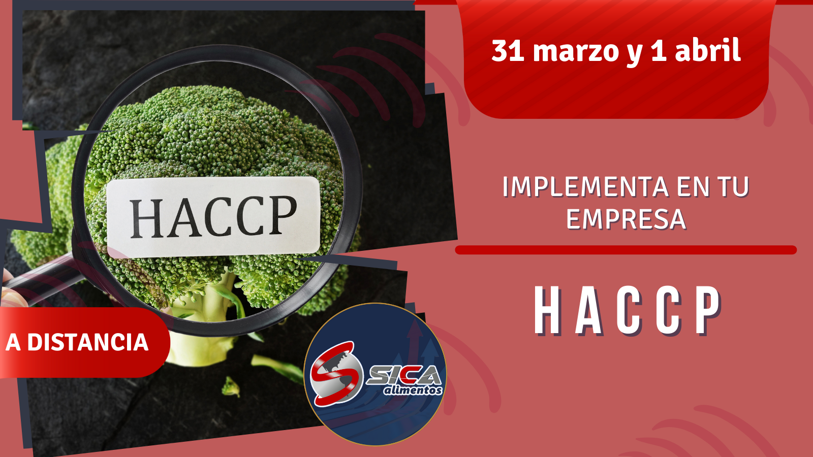 HACCP 12 pasos vs HACCP 7 pasos