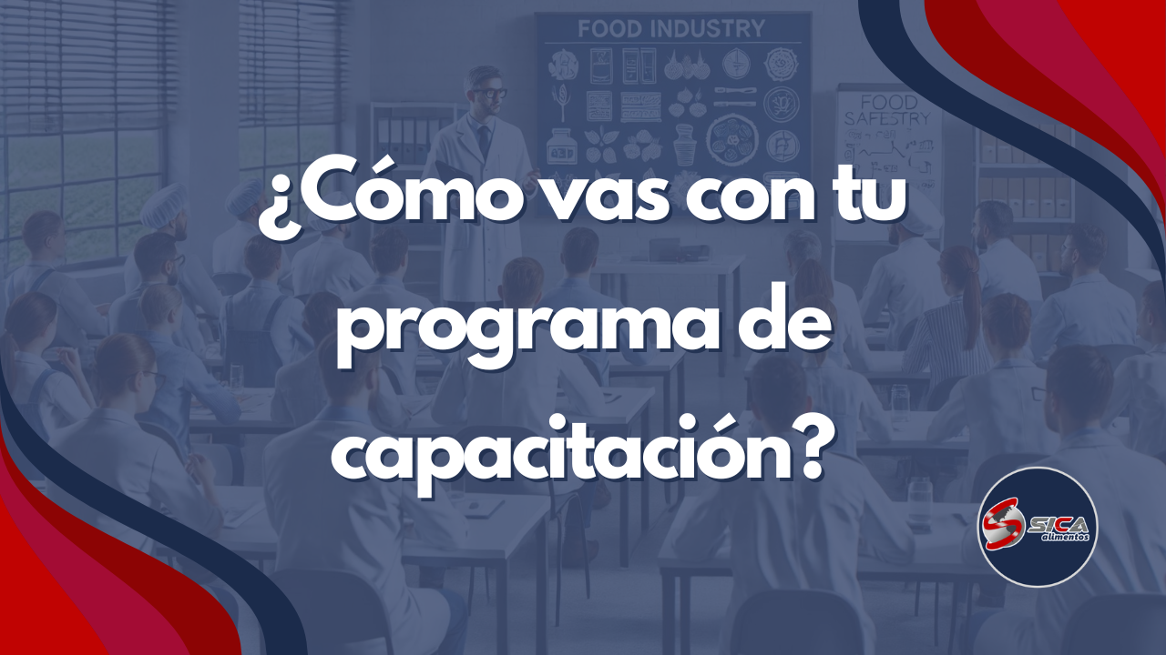 ¿Cómo vas con tu programa de capacitacion?