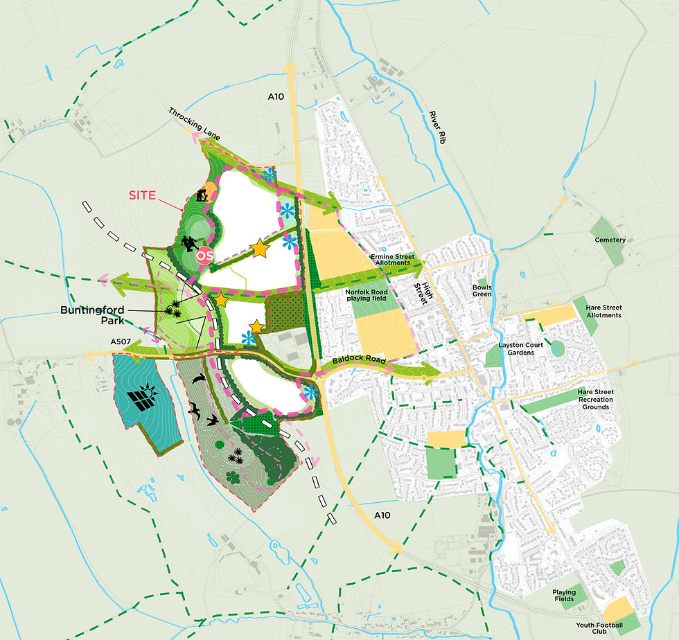 Buntingford Park | Buntingford Parkside