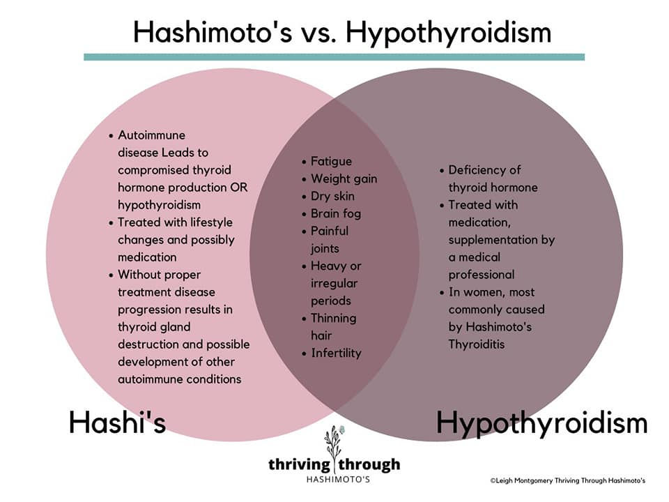FAQ - Hashimoto's Disease