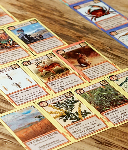 Ecologies Card Games | L & S Apothecary