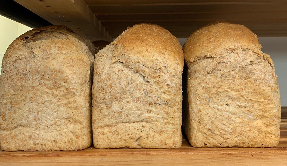 Shop | Spelt Bakery on Highgate 2/3