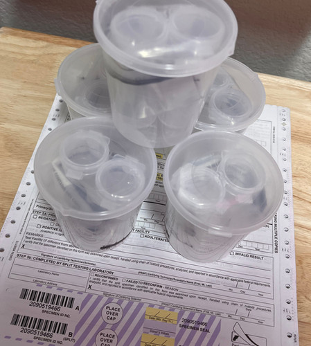 DOT & DNA Mock Kits | Kelly Lab Training