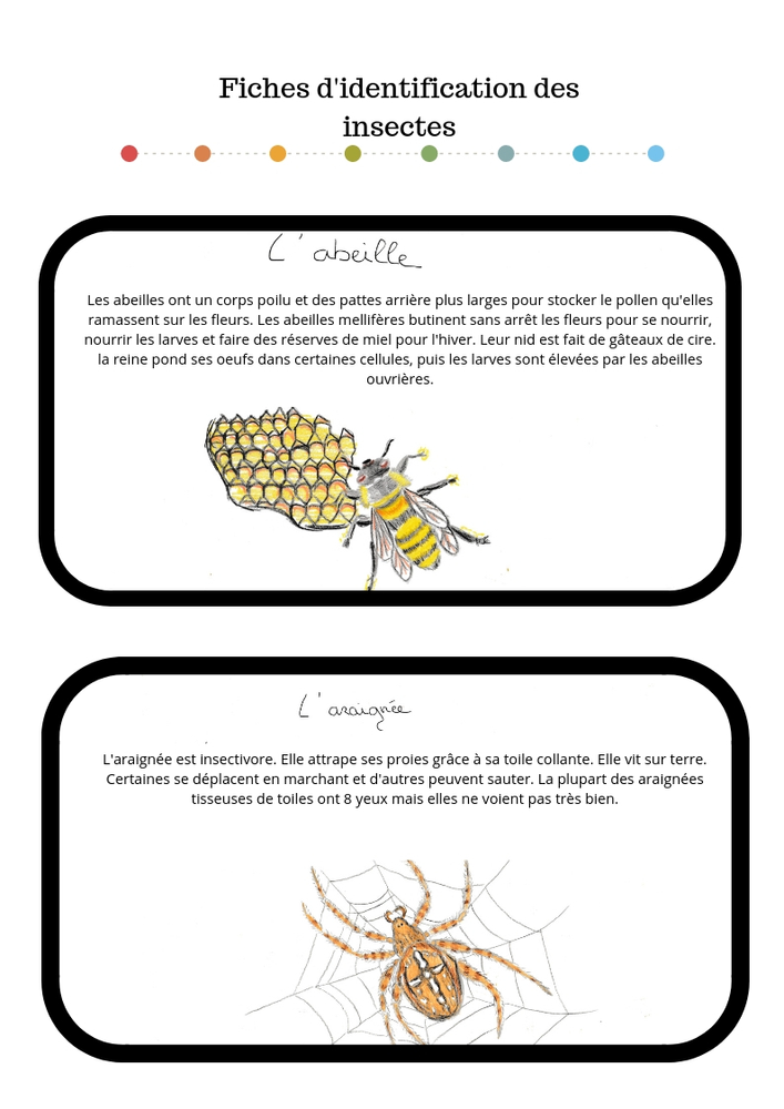 Le jeu des insectes
