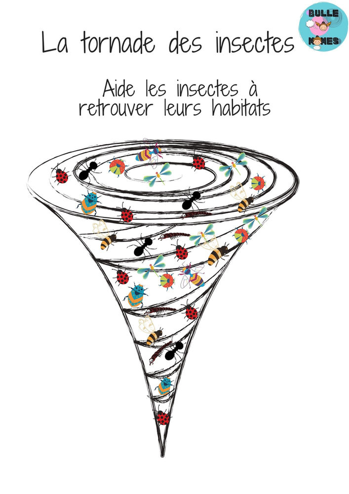 Tout sur les insectes