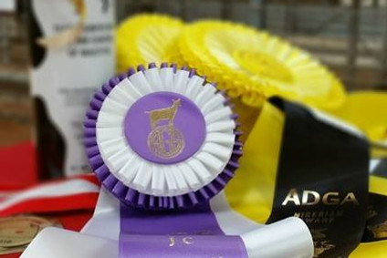 ANDDA NEWS CENTER | ANDDA