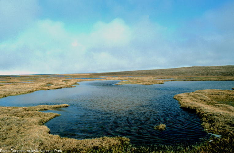 Top 10 Unexplored Parks in Canada