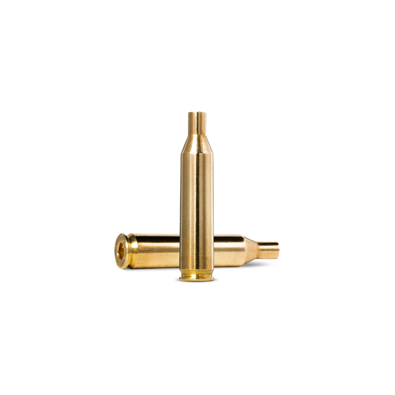 Caliber .17 Rem. Reloading Data