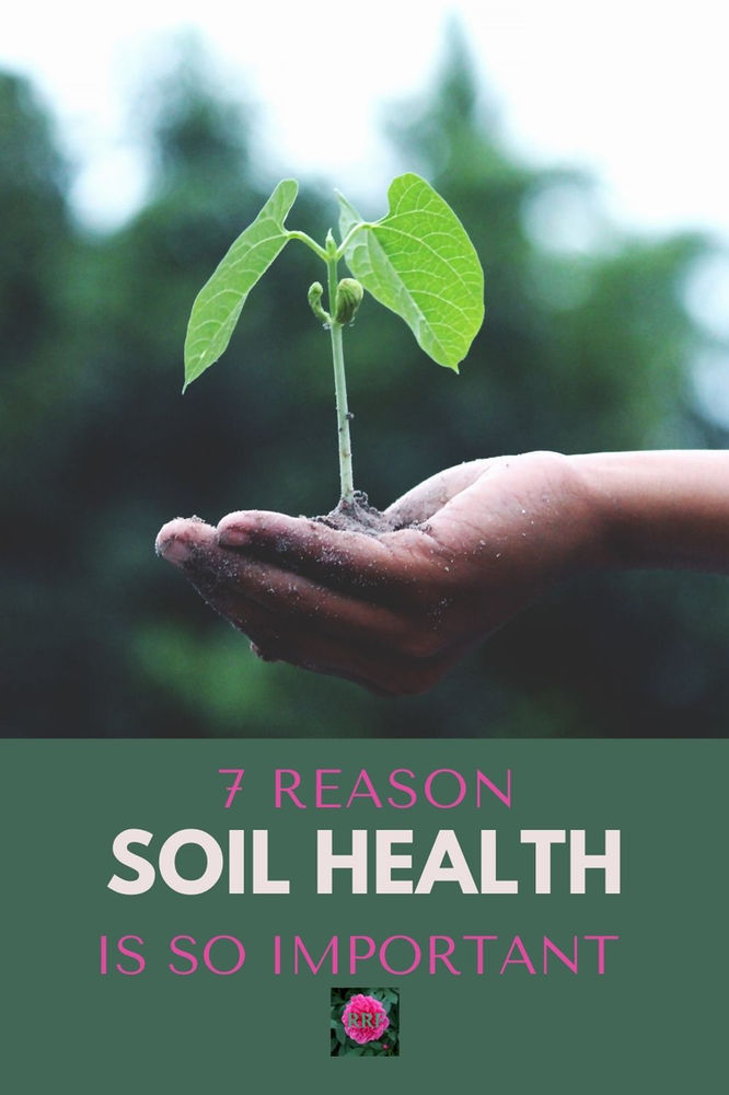 7 Reason Soil Health Is So Important