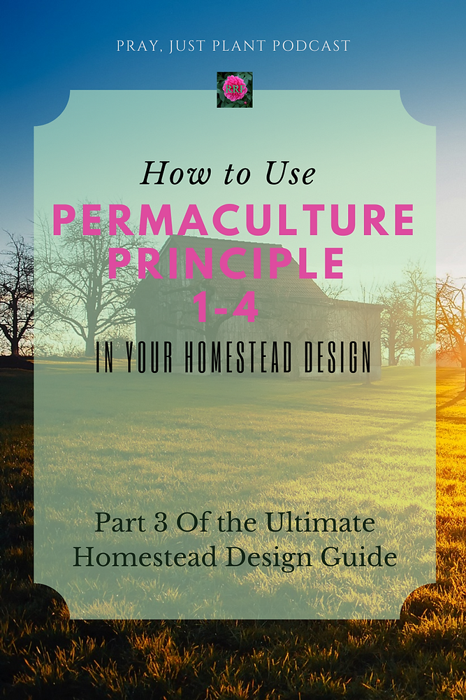 How to Use Permaculture Principle 1-4 in Your Homestead Design