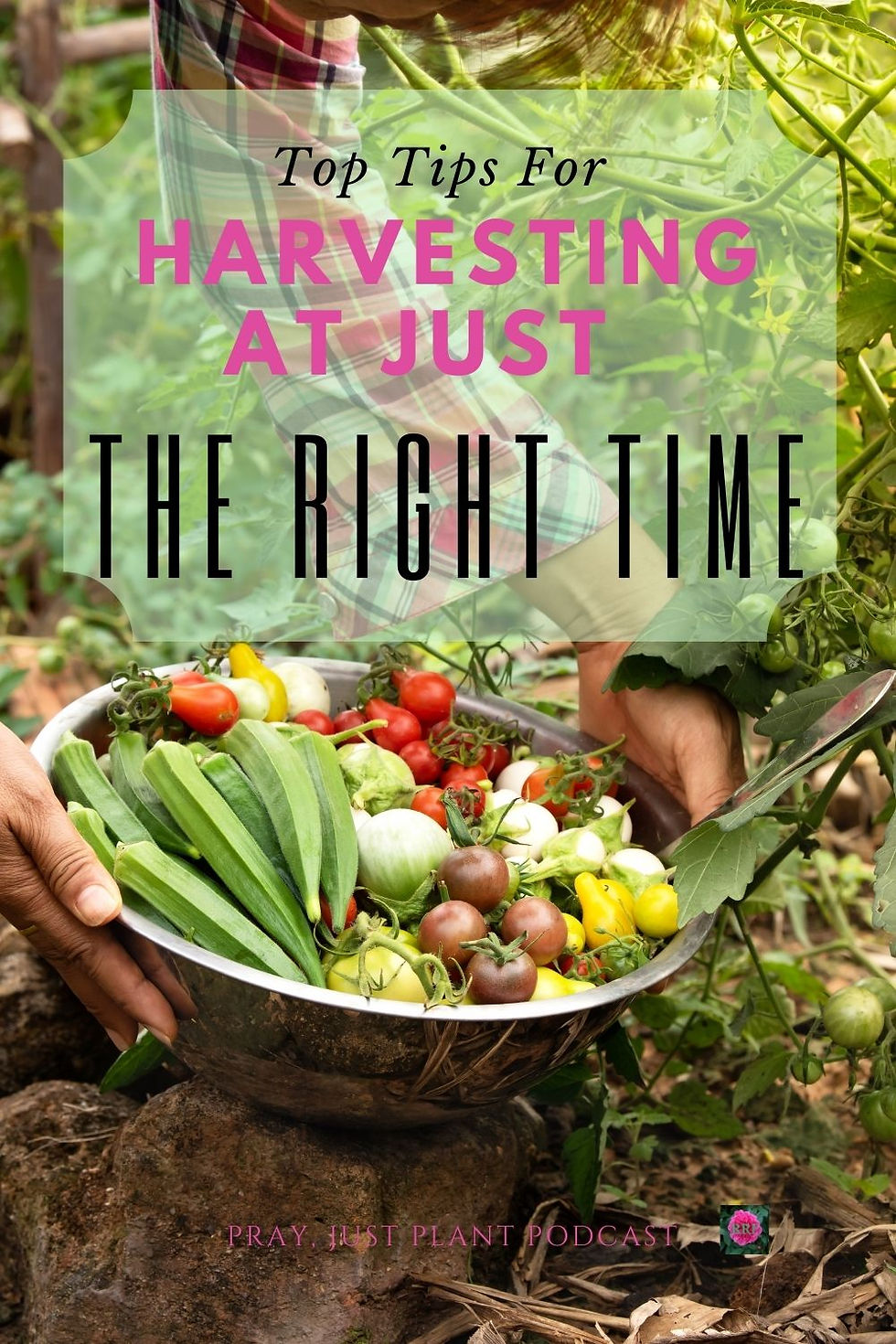 Tops Tips for Harvesting at Just the Right Time