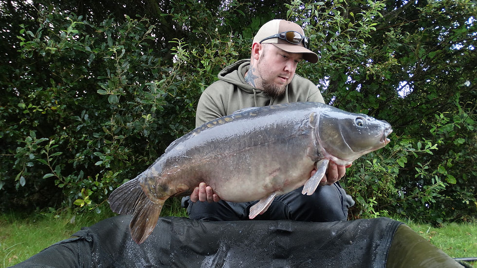 Gallery | Carpers Essentials