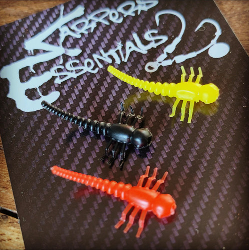 Bug Aligners | Carpers Essentials