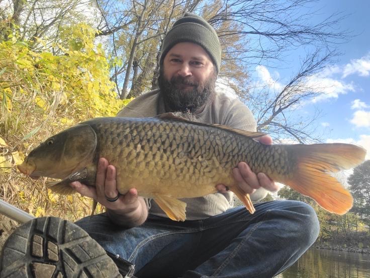 Carpers Essentials | Custom Baits | Hooks | Terminal Tackle | Burmarsh | Kent