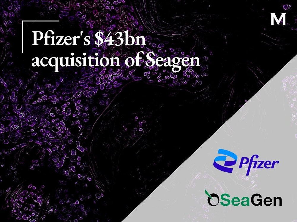 Pfizer’s $43bn Acquisition of Seagen