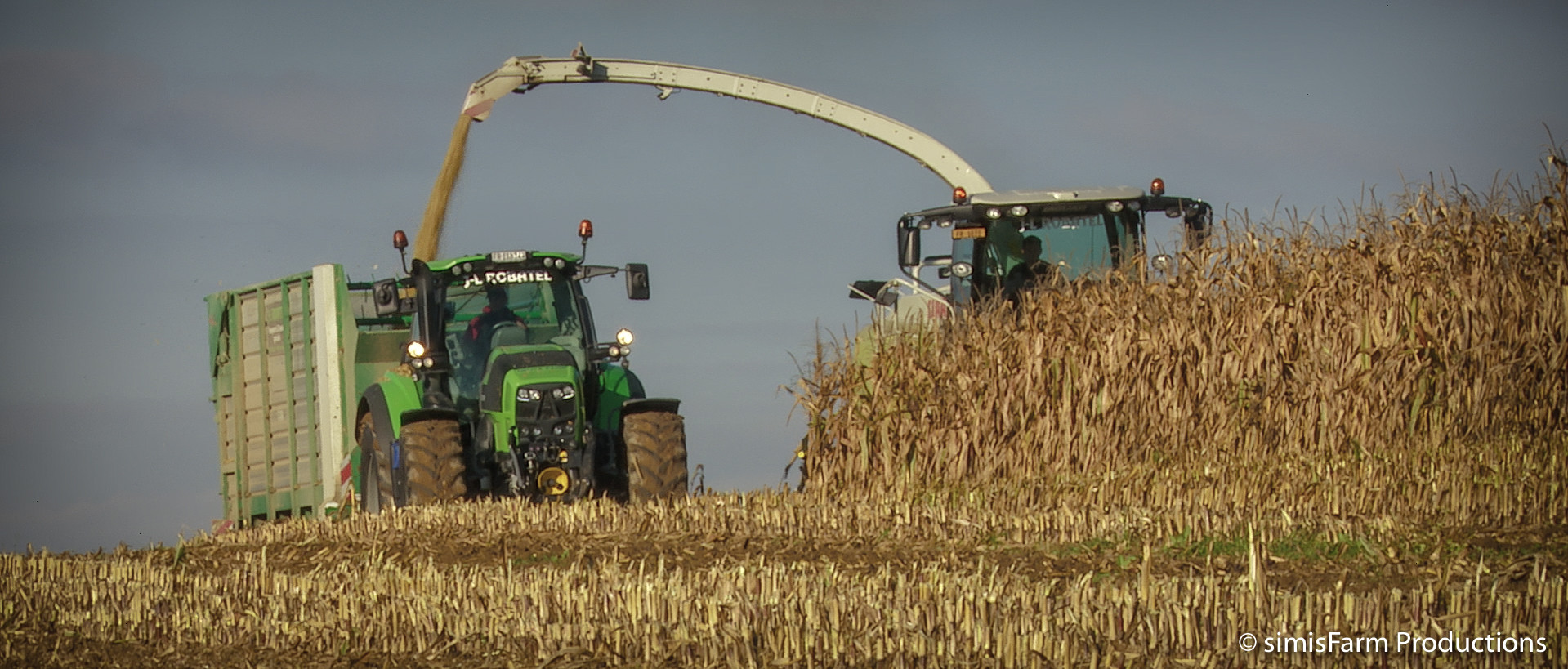 Dummermuth 2015: Maisernte am Murtensee