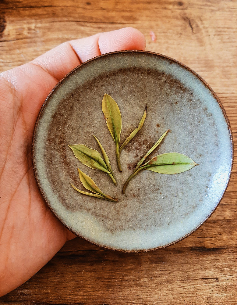 Theine vs. caffeine: what exactly is the situation?