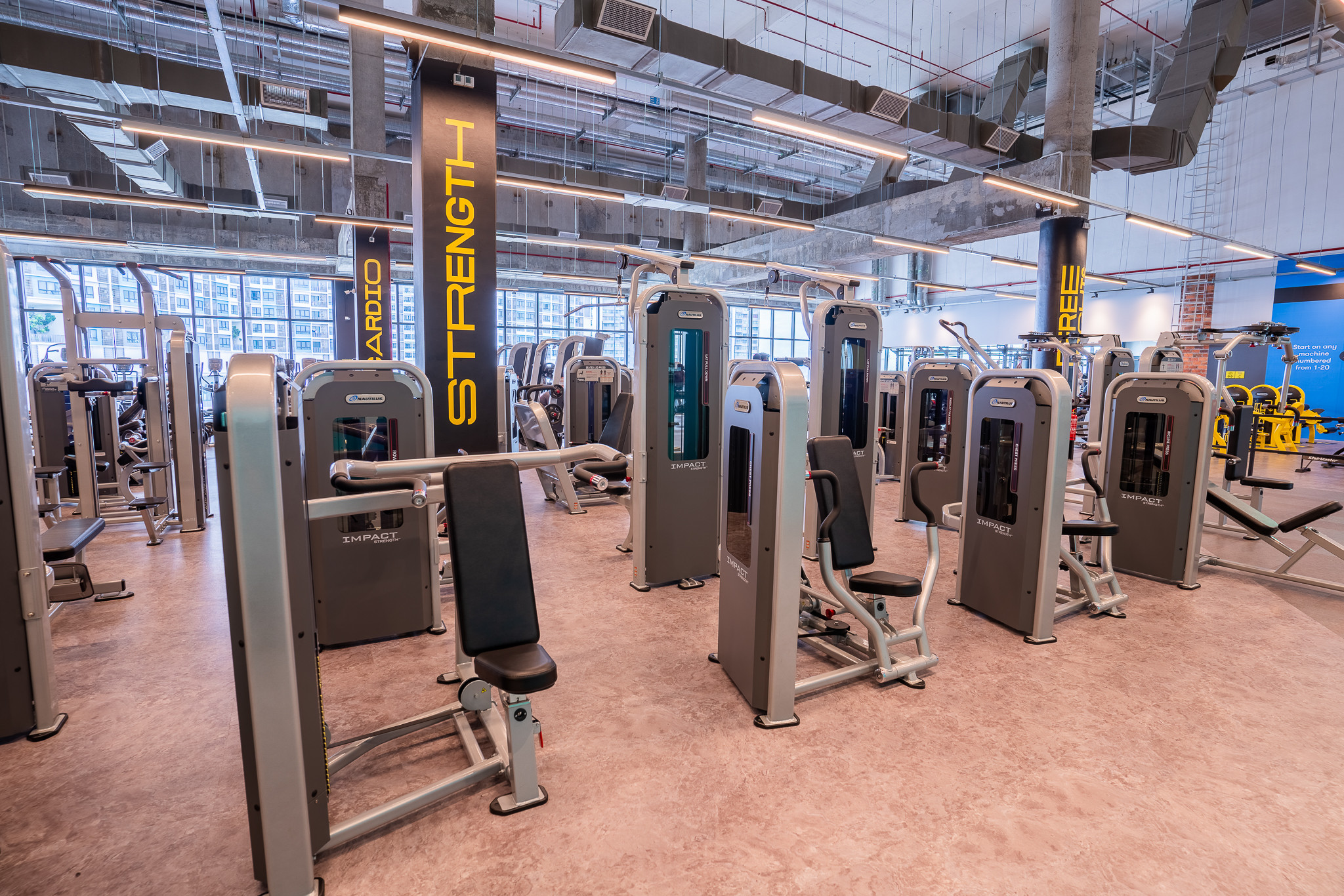 How to Franchise GoFit Gym - Franchise Fee, Investment and Application