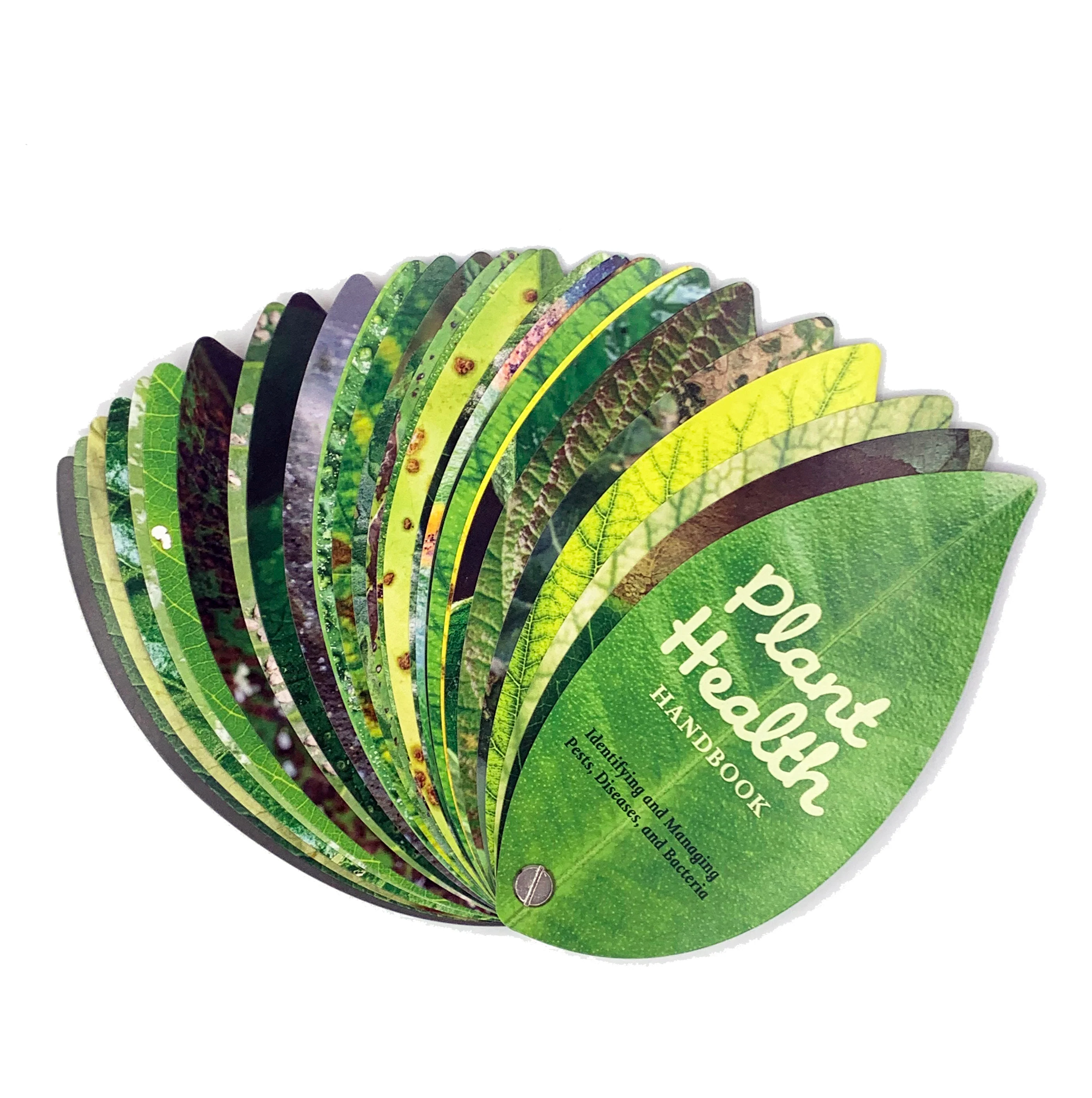 Plant Health Swatch Book | Between The Lines