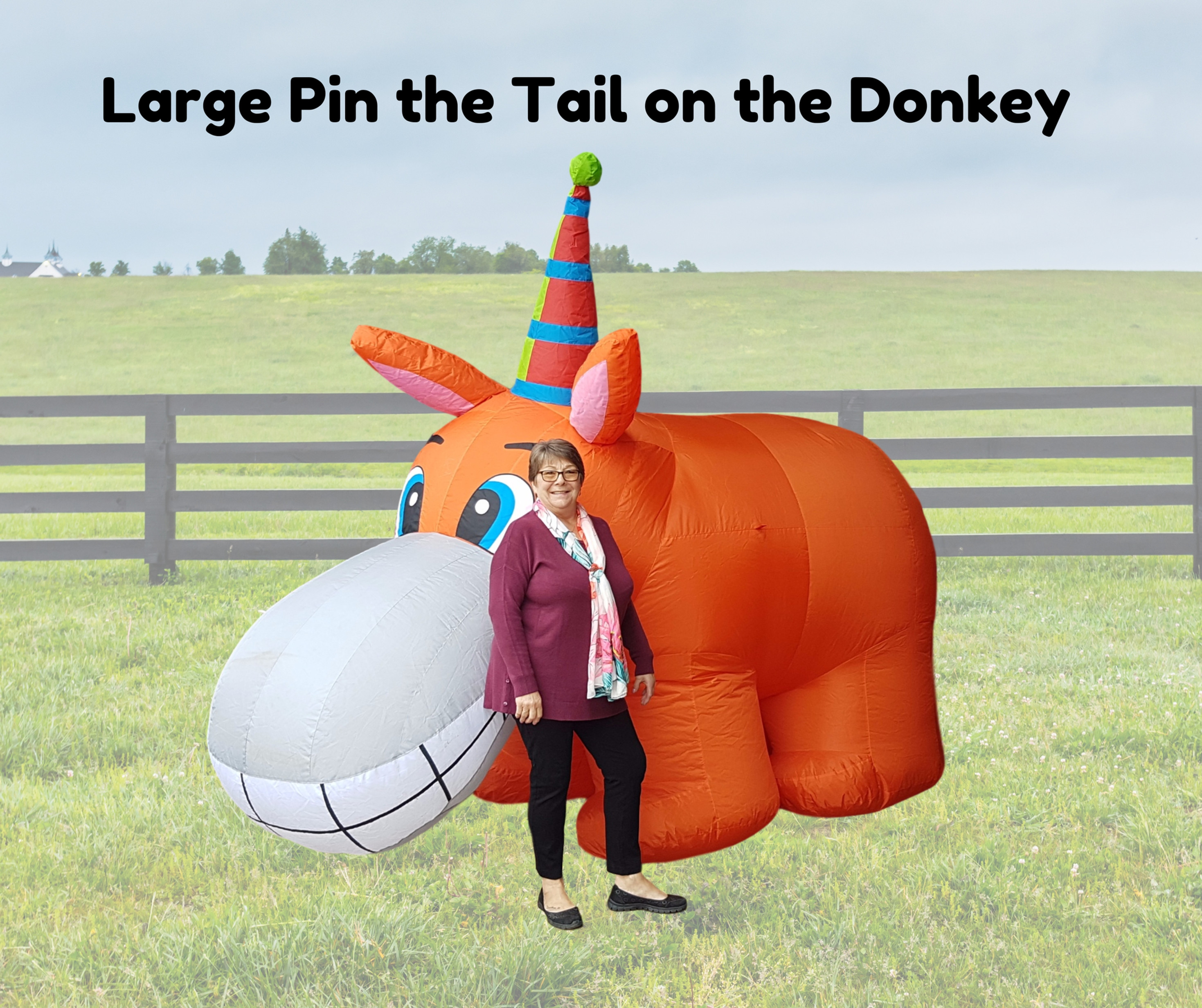 Large Pin the Tail on the Donkey 1420