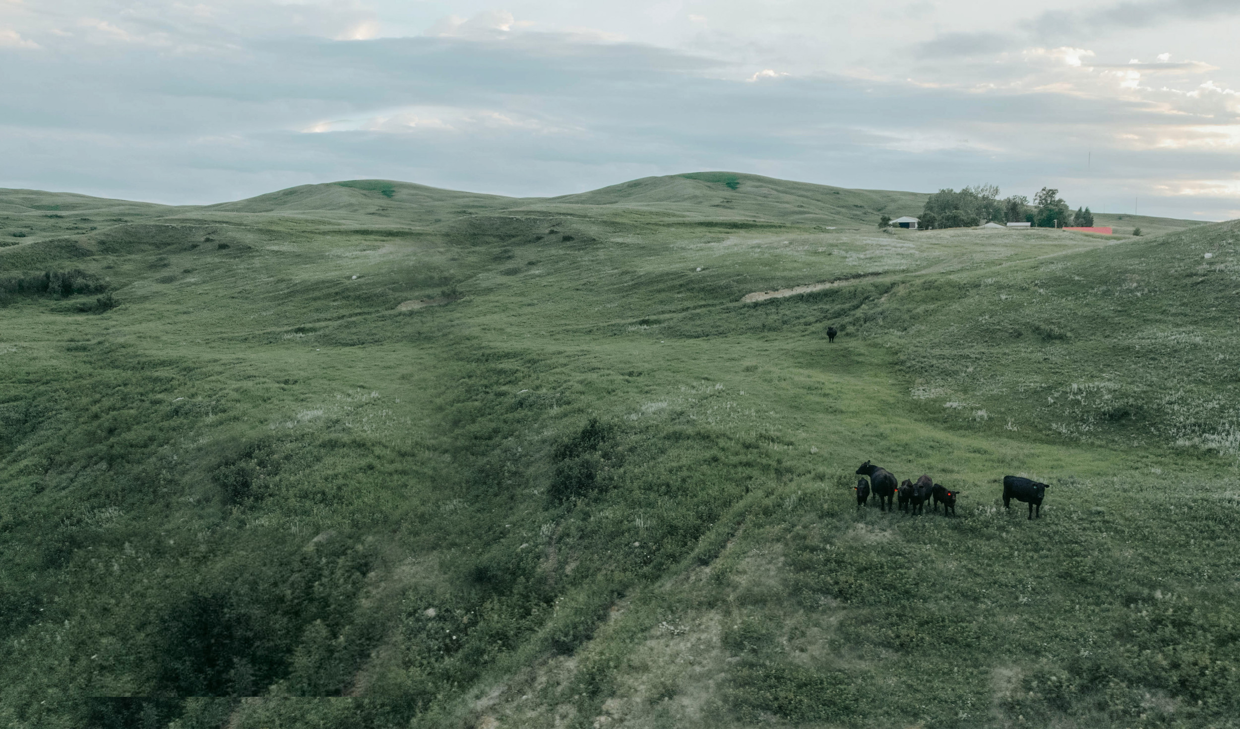 Our Impact | IMI Global