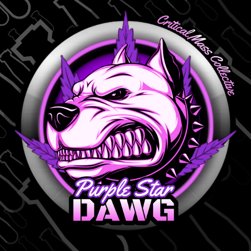 Purple Star Dawg | cmcprojects