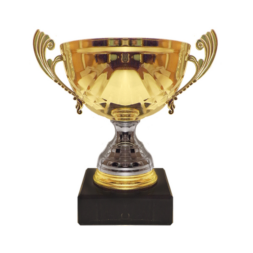 COPA CO-040 | publifoto