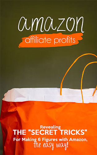Amazon Affiliate Profits | Digital Plr Store