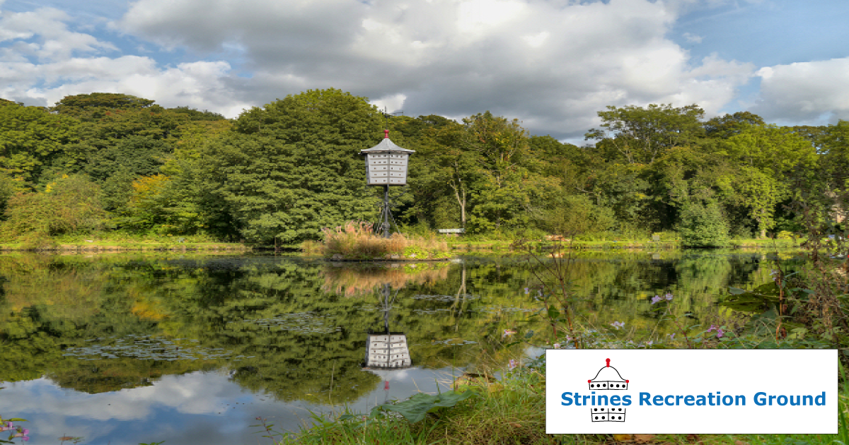 Strines Recreation Ground | strines