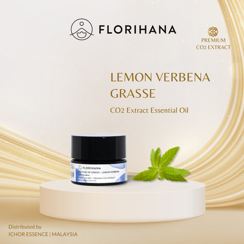 Florihana CO2 Extract Lemon Verbena Essential Oil | Ichor Essence
