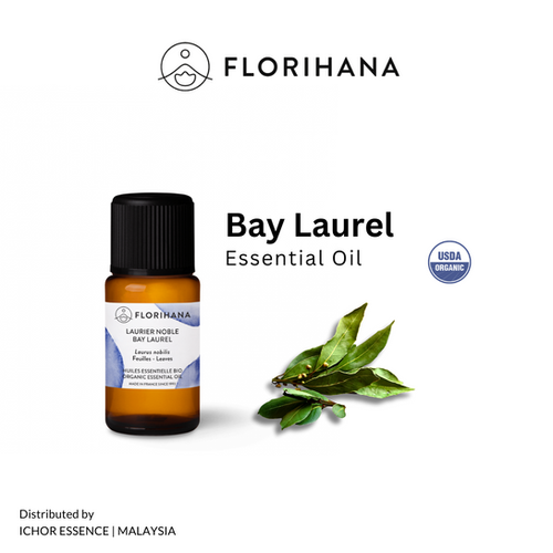 Florihana Bay Laurel Organic Essential Oil | Ichor Essence
