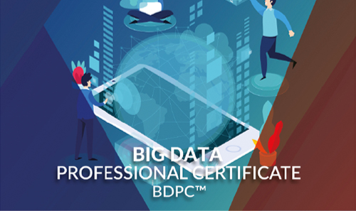 Big Data Professional Certificate | projectd