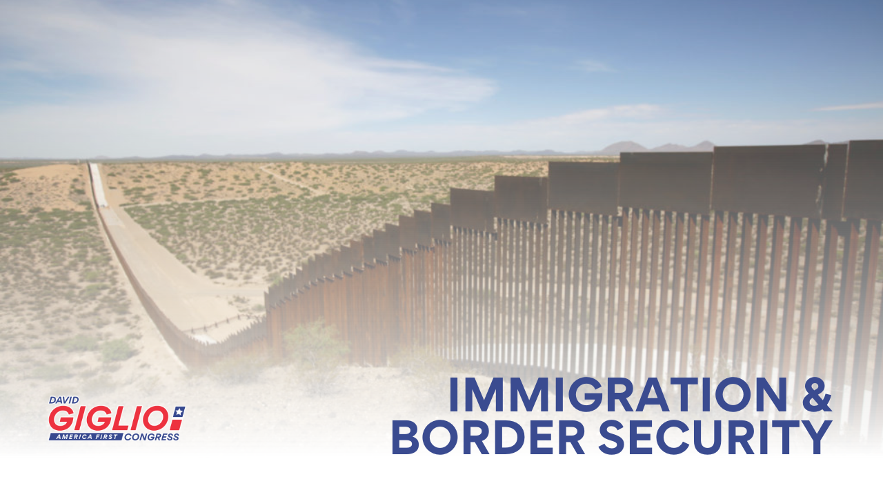 Immigration | David Giglio for Congress