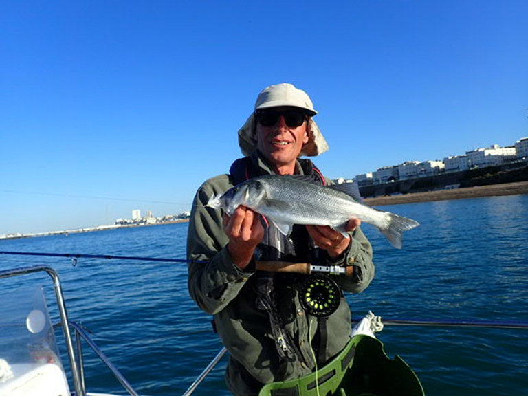 Brighton Inshore Catch report - 22nd June 2018