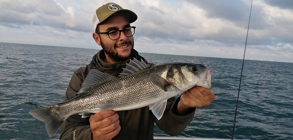 Brighton Inshore Fishing - Catch report 3rd August 2021