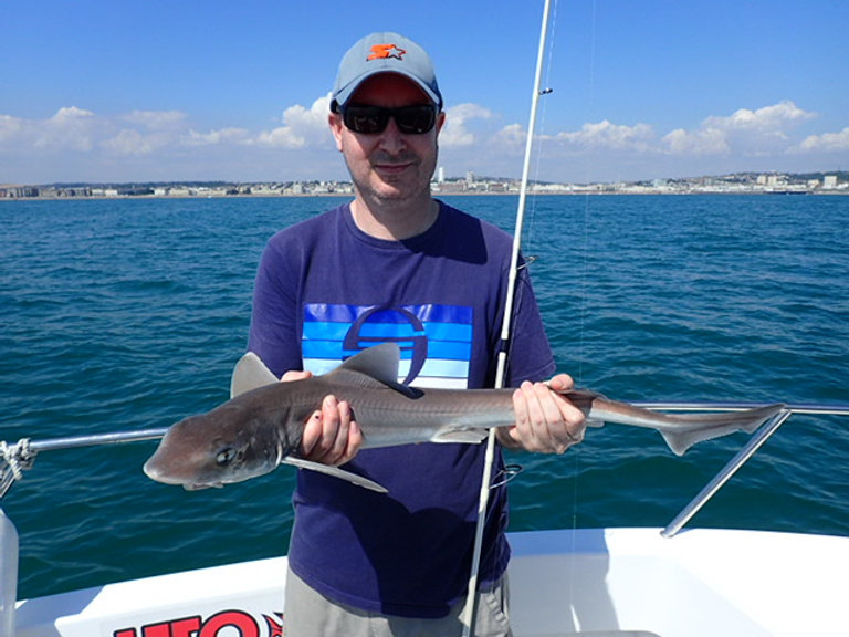 Brighton Inshore Fishing - Catch report 14th July 2018